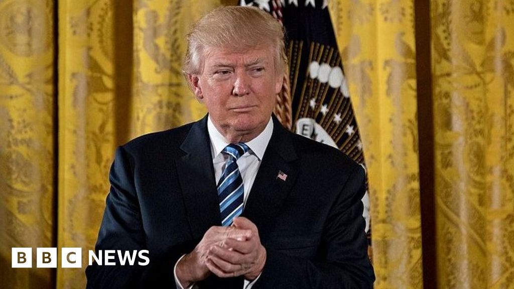 What will happen in Donald Trump's first 100 days? - BBC News