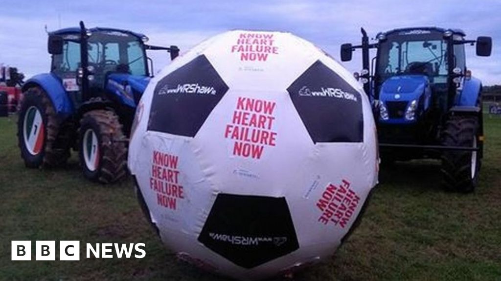 Tractor football and sheep spas at Irish ploughing championships - BBC News