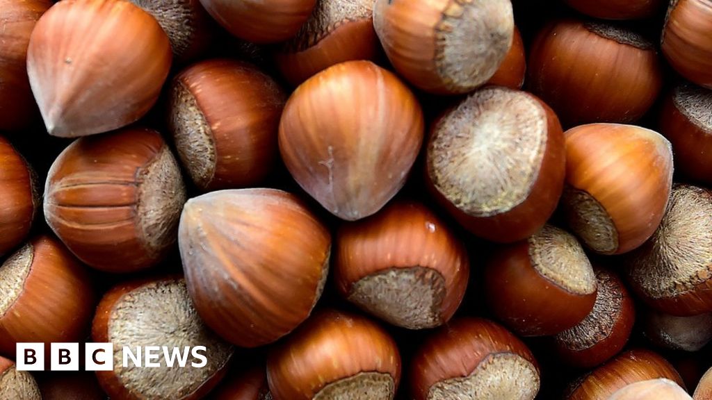 Hazelnut find sheds light on Threave estate's history - BBC News