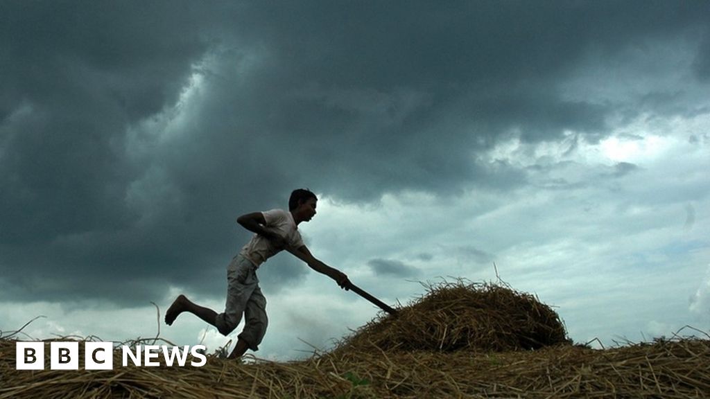 Why a problem of plenty is hurting India's farmers - BBC News