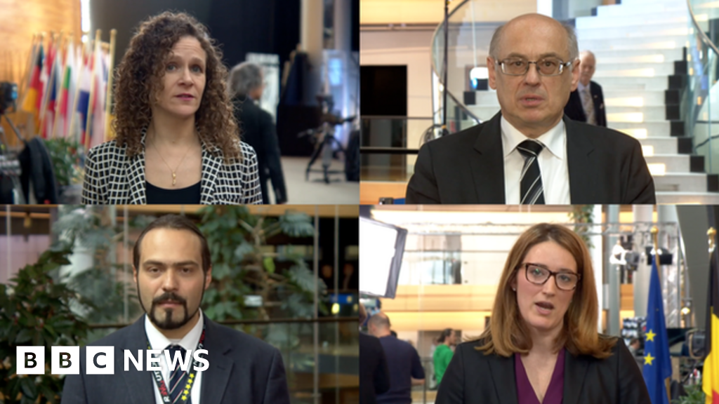 MEPs react to: The draft UK-EU deal - BBC News