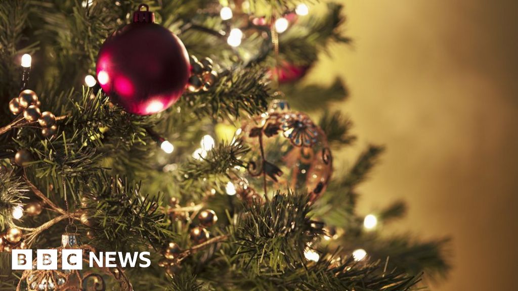 Simon Birch death: What happened at Christmas Day killing? - BBC News