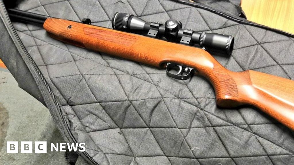 Exeter Globe Inn air rifle attack: Man shot in cheek - BBC News