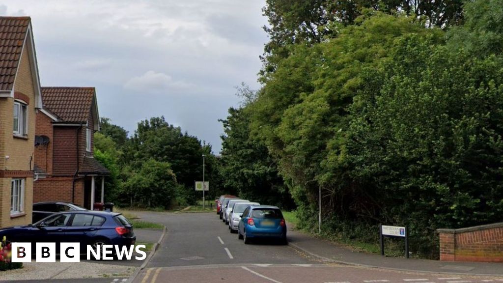 Three more men arrested on suspicion of Slough murder - BBC News