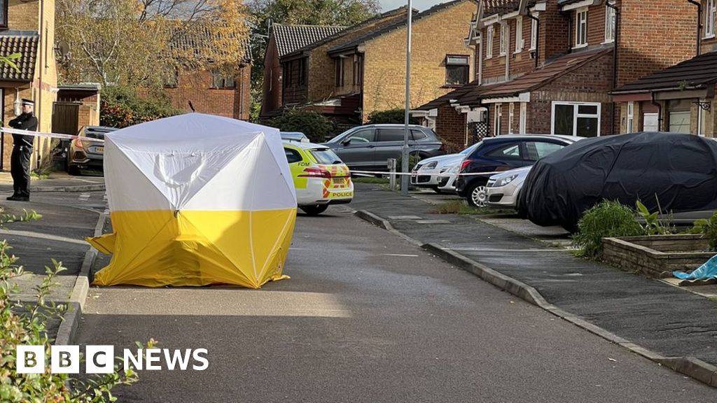 Southall: Four arrested after 17-year-old fatally stabbed - BBC News
