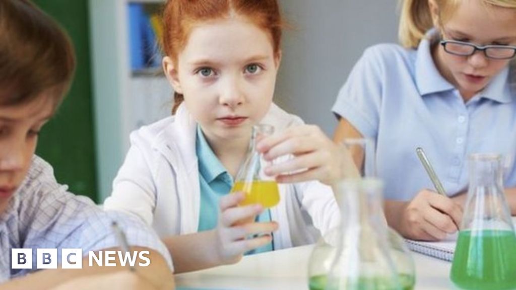 Get more girls into science, Swansea University boss says - BBC News