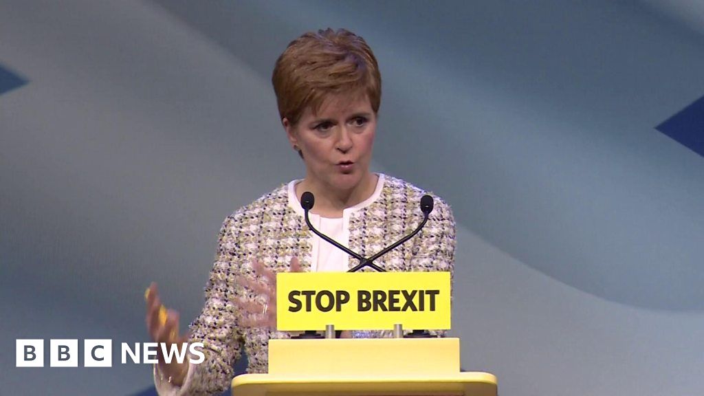 General election 2019: SNP's Brexit position 'backed by EU vote' - BBC News