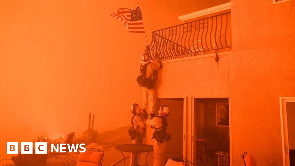 Week in pictures: 8 - 14 July 2017 - BBC News