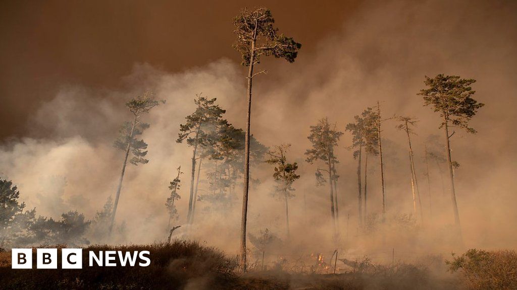 US wildfires: What are the health risks of smoke pollution?