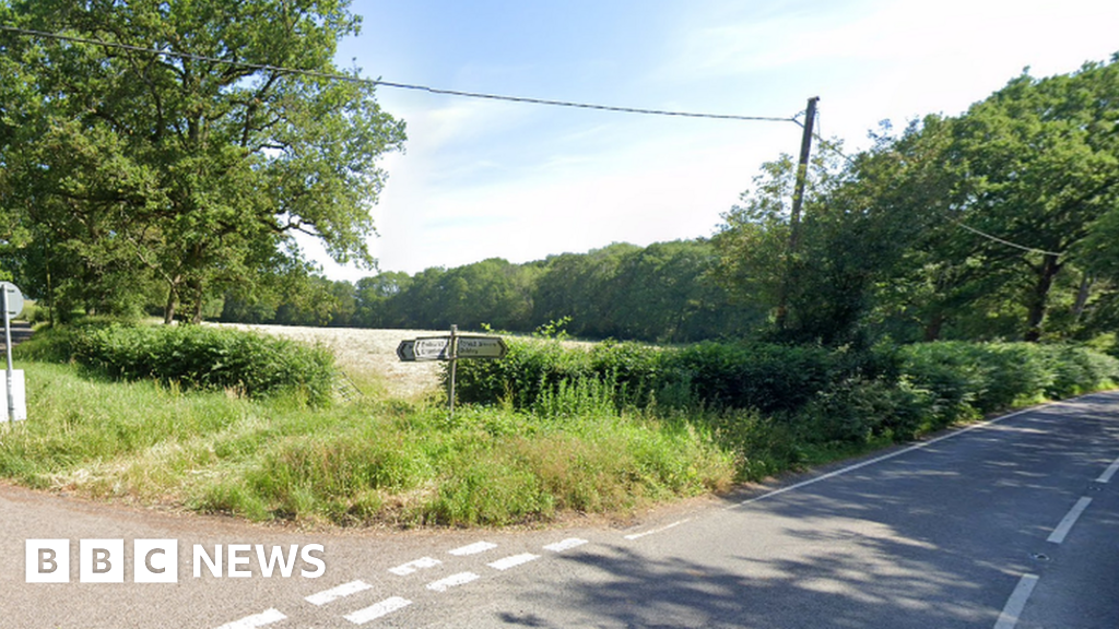 Dorking: Driver dies in single-vehicle crash near Forest Green - BBC News