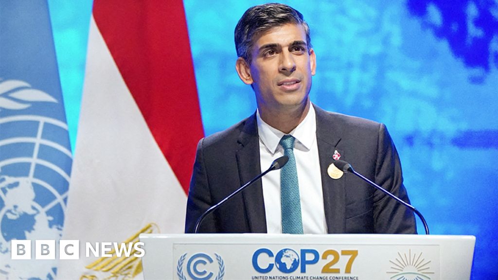 COP27: Ukraine a reason to act fast on climate change - Rishi Sunak