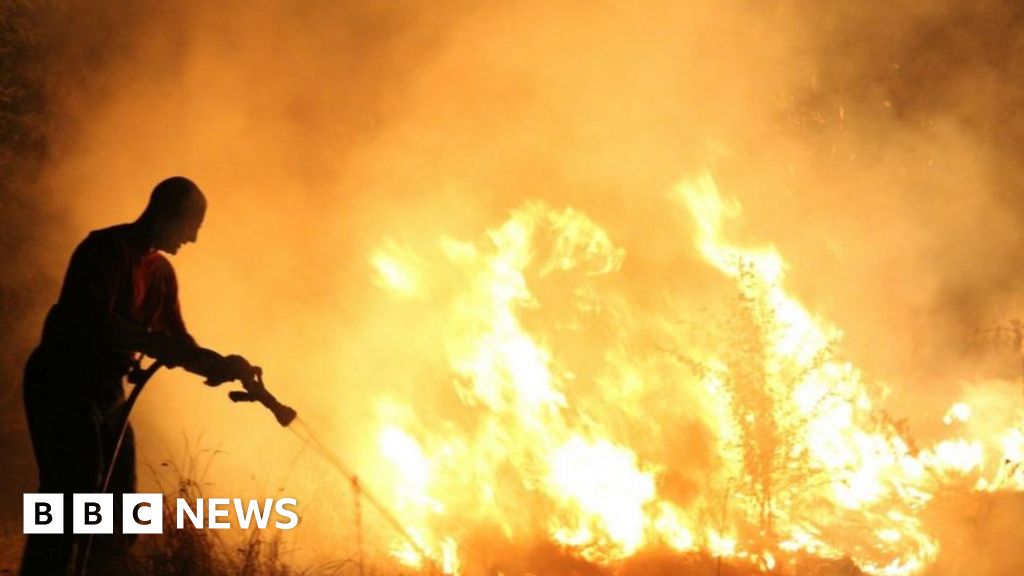 Fire at Tottenham grassland 'size of three football pitches' - BBC News