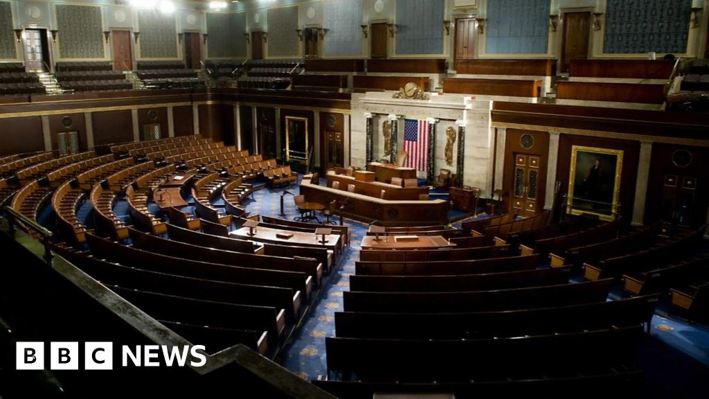 What's at stake in the US election: Control of Congress - BBC News