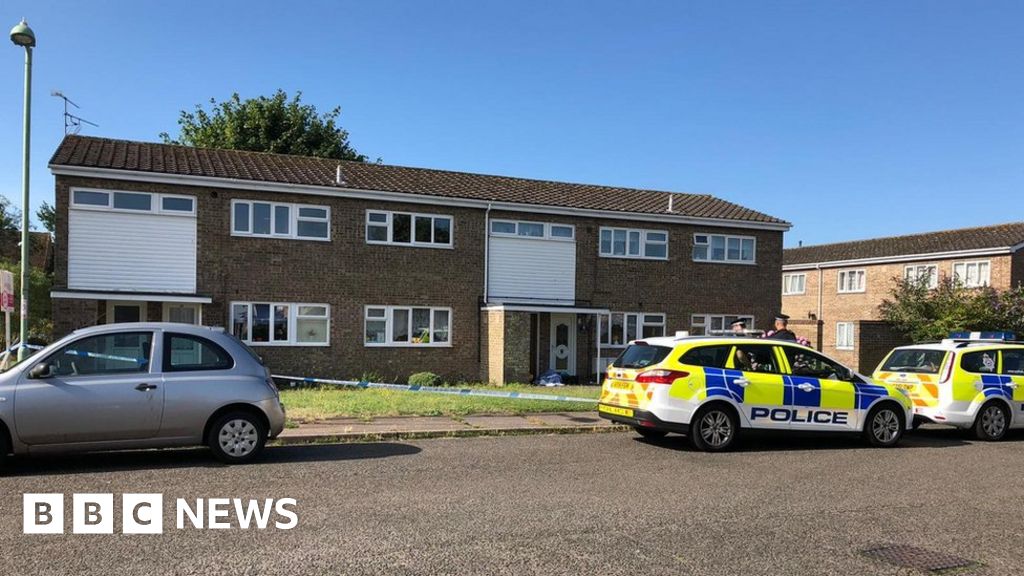 Lowestoft terrorism arrest: Man held after grenades find - BBC News