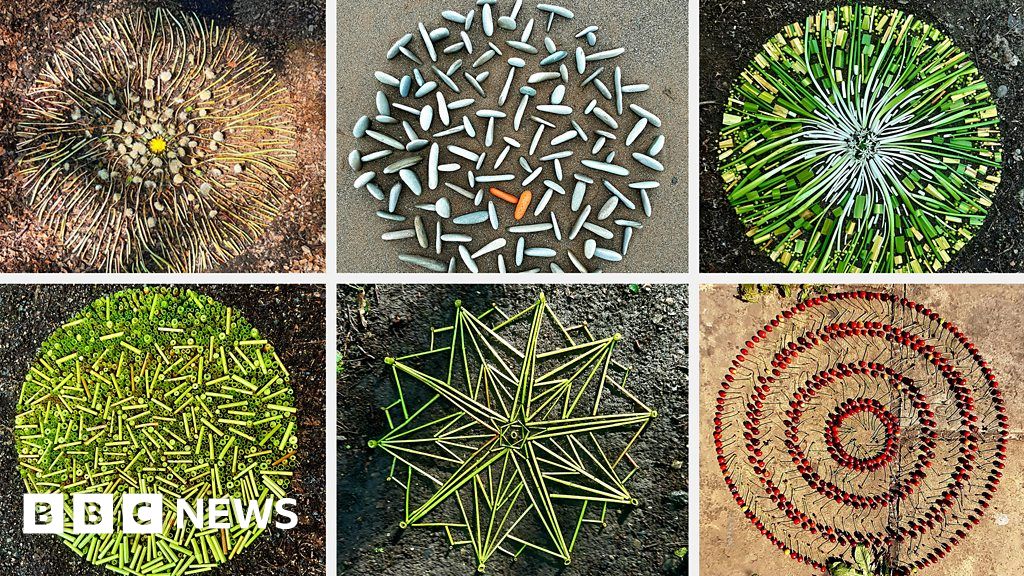 Watch Yorkshire artist turn nature into visual masterpiece - BBC News