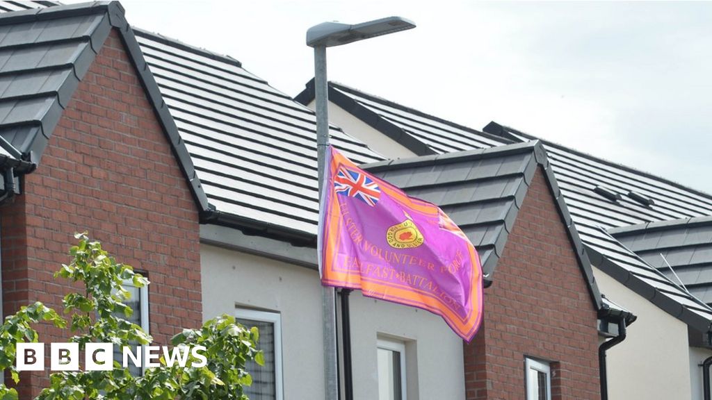 Belfast flags: Councillors recommend public consultation - BBC News