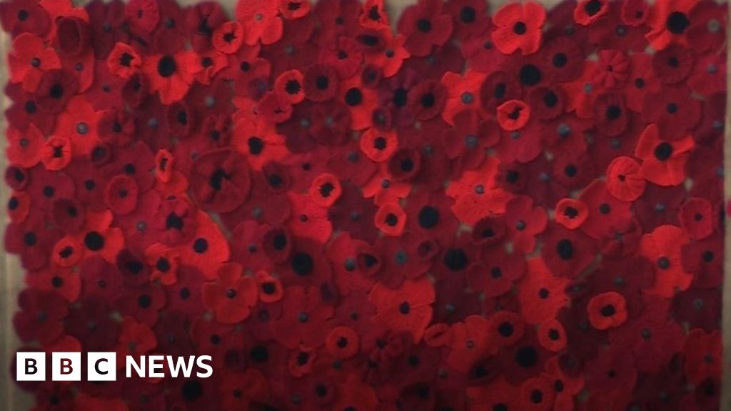 Rotherham knitted poppy display marks end of WWI