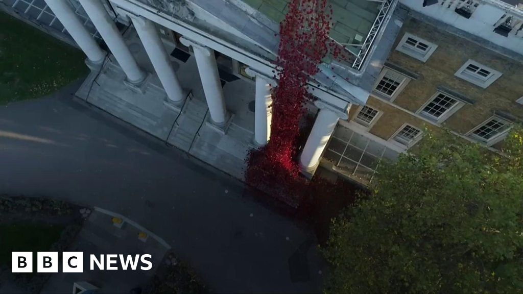 Poppy sculpture returns to London - BBC News