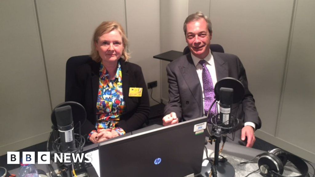 Ex-UKIP leader sees interim deal as delaying Brexit - BBC News