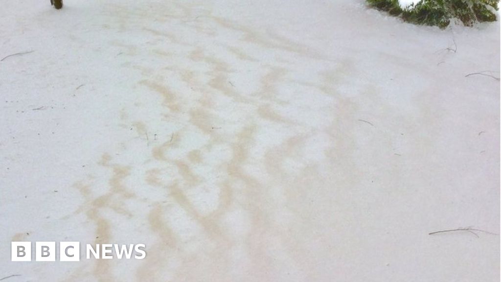 Why is brown snow falling in the US Midwest? - BBC News