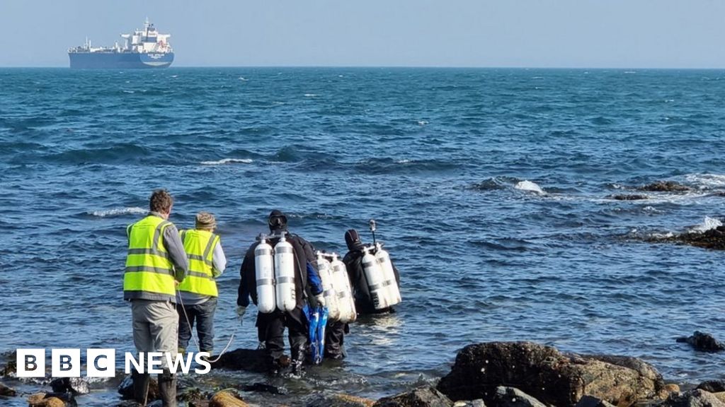 Ghost net warning after seal found dead in Cornwall - BBC News