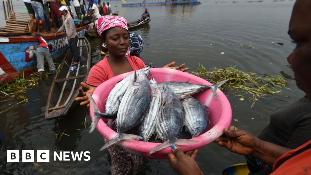 UN: Global fish consumption per capita hits record high - BBC News