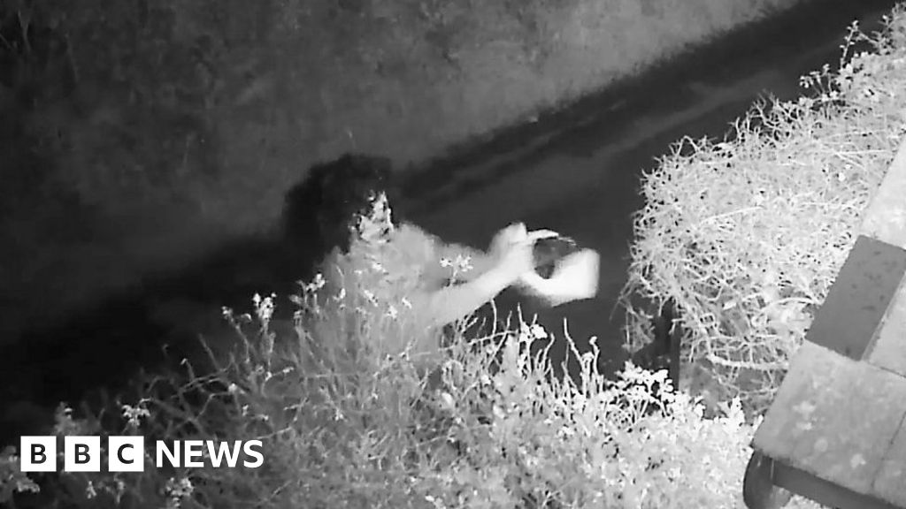 Woman in devil mask filmed throwing acid over house - BBC News