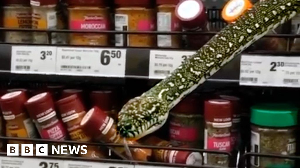 Snake emerges from Australian supermarket shelf