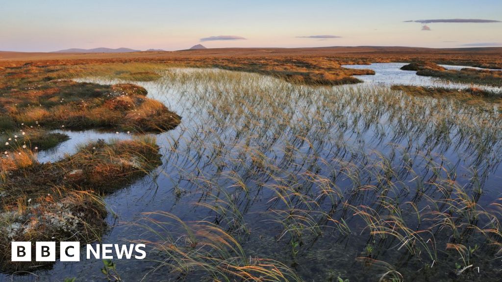 Call for statutory wild land area protection in Scotland