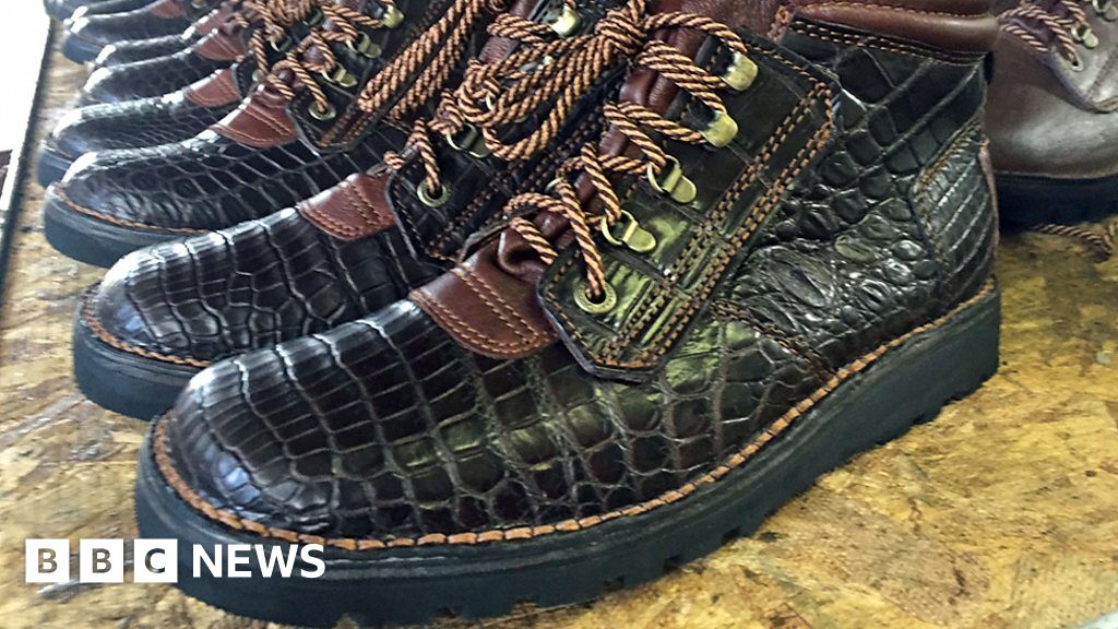 Zimbabwe's exclusive footwear firm - BBC News