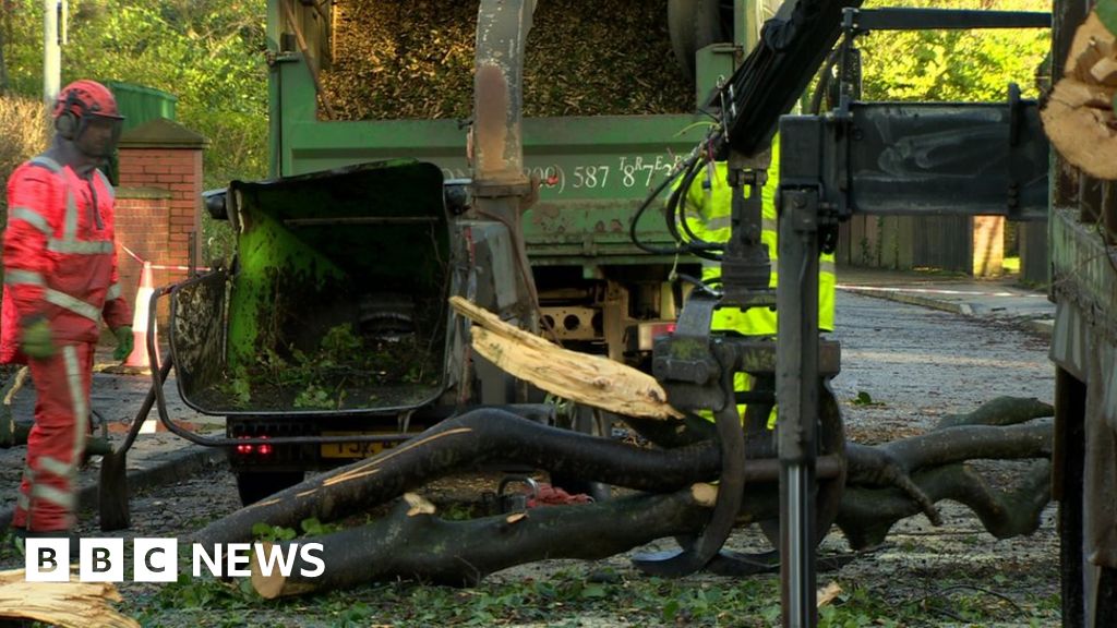 Storm Eleanor: Power restored after high winds - BBC News