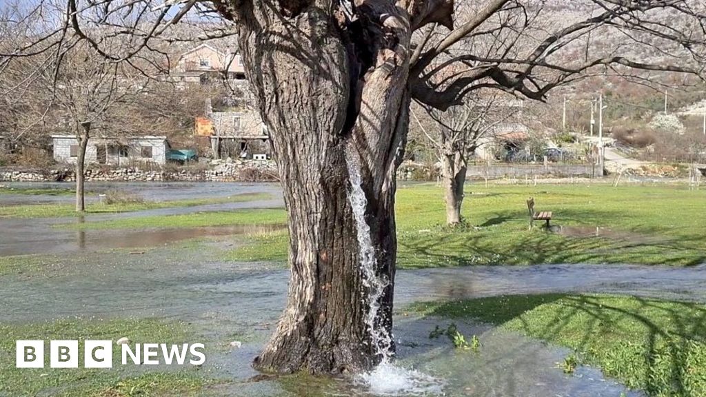 Why does water flow from a tree in Montenegro?