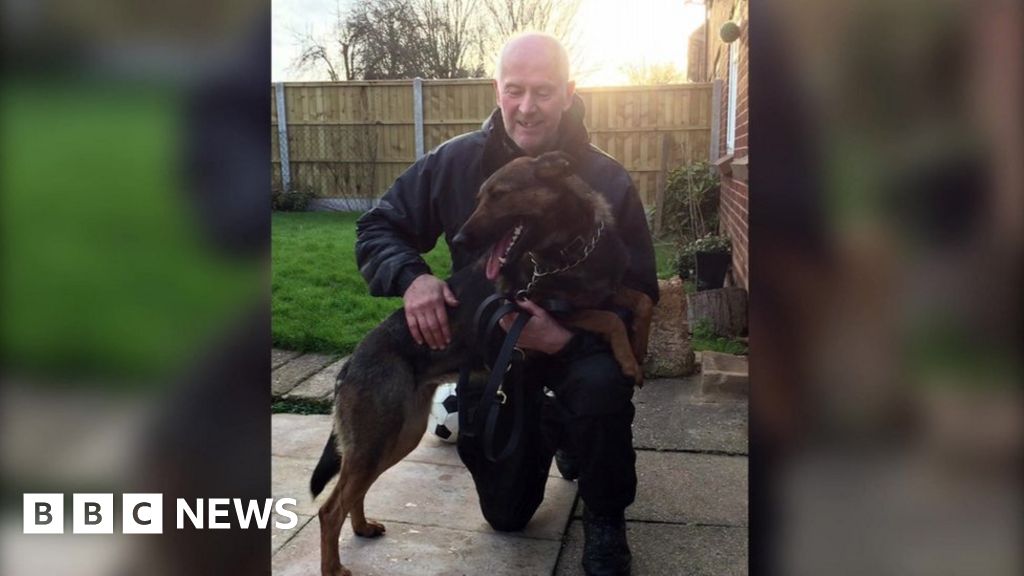 Fraud arrest over West Mercia Police dog fundraising page - BBC News