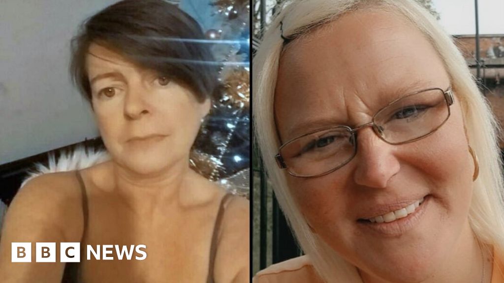 Drunken women convicted of torturing singing parrot - BBC News