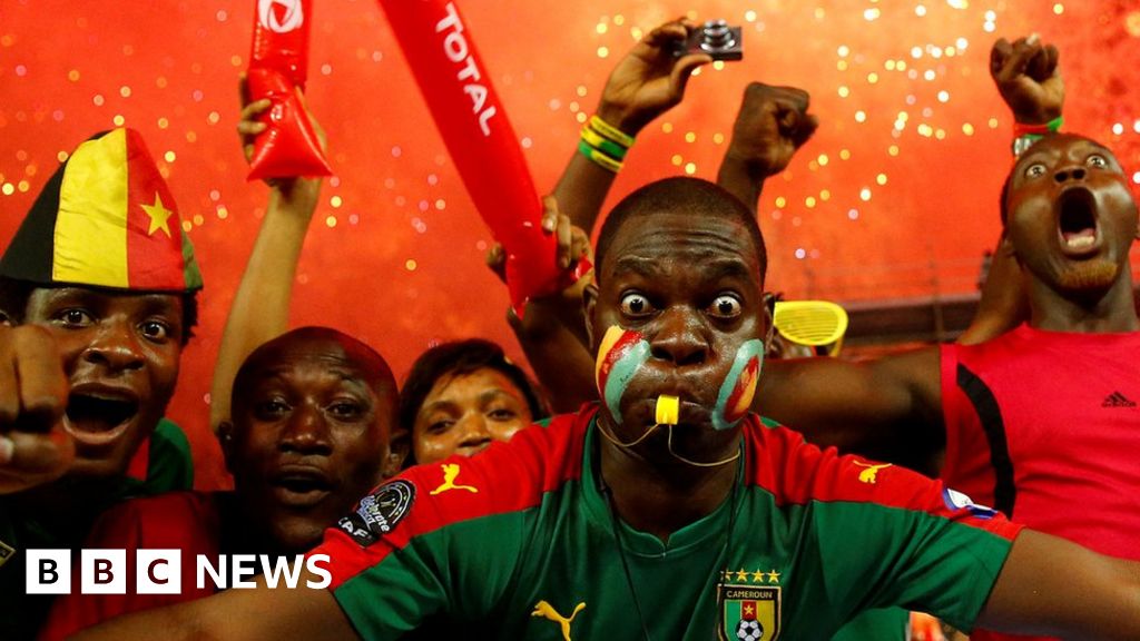 How Cameroon's Indomitable Lions roared again - BBC News