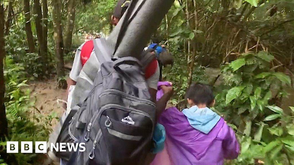 The Sun family's journey through the jungle - BBC News