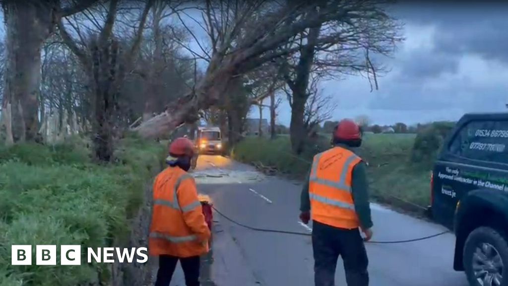Strong winds blow down trees and scatter bins in Channel Islands