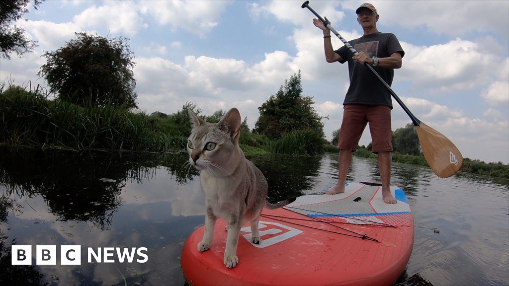 SUP 'water cat' on River Stour and North Sea adventures