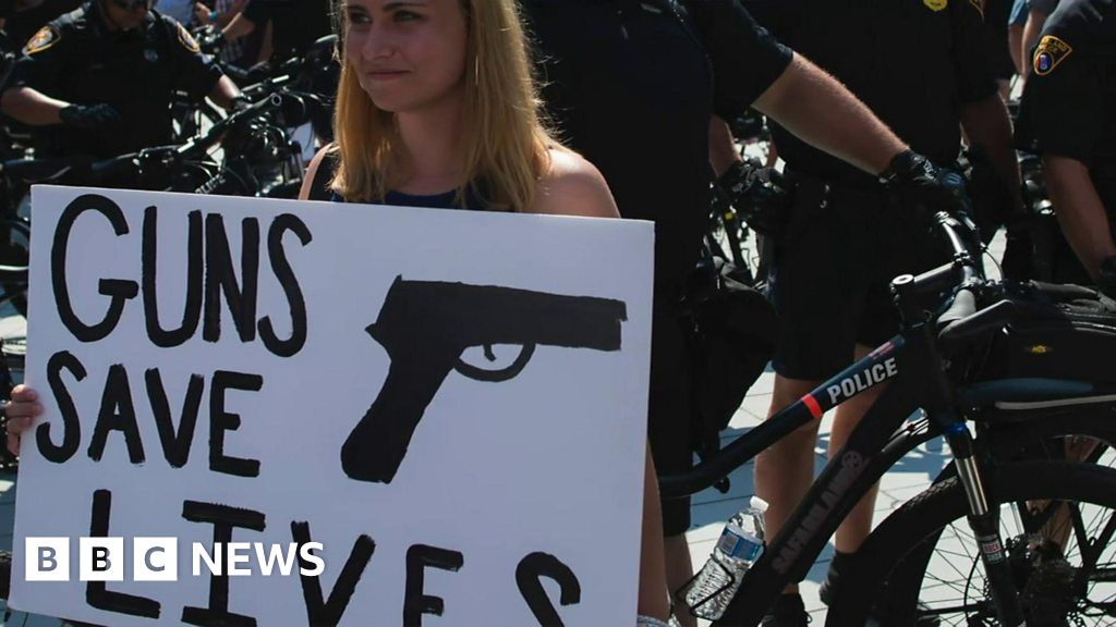 How might US election change gun laws? - BBC News