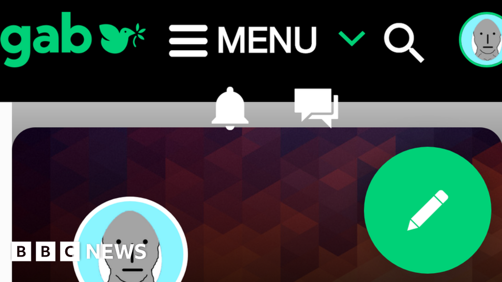 Social network Gab back online after shooting - BBC News