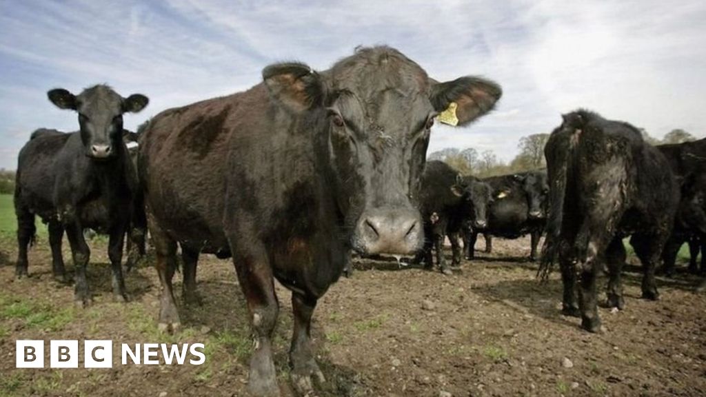 Brexit: NI farmers support all-Ireland beef status bid
