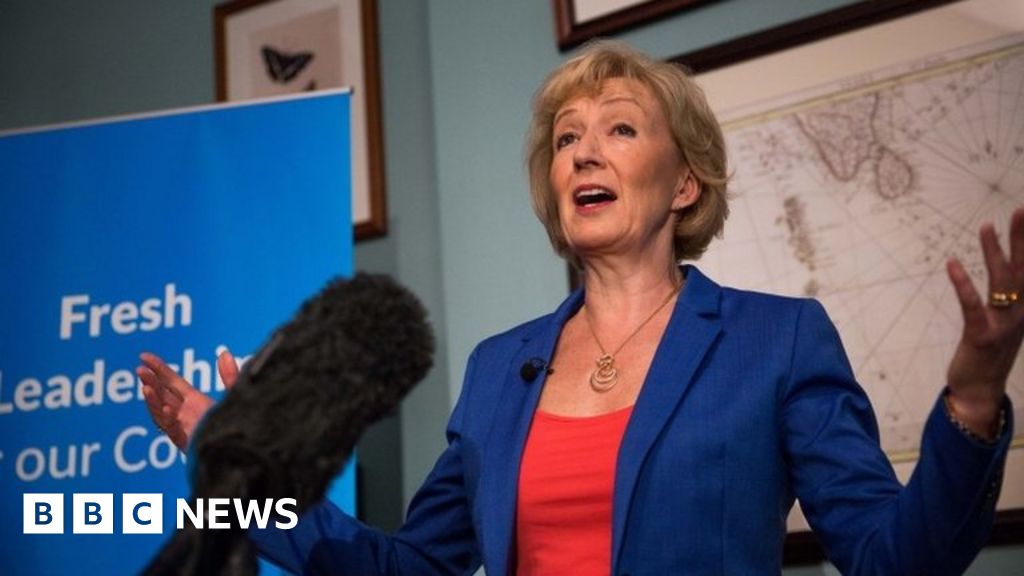 Andrea Leadsom publishes CV amid claims over career history - BBC News