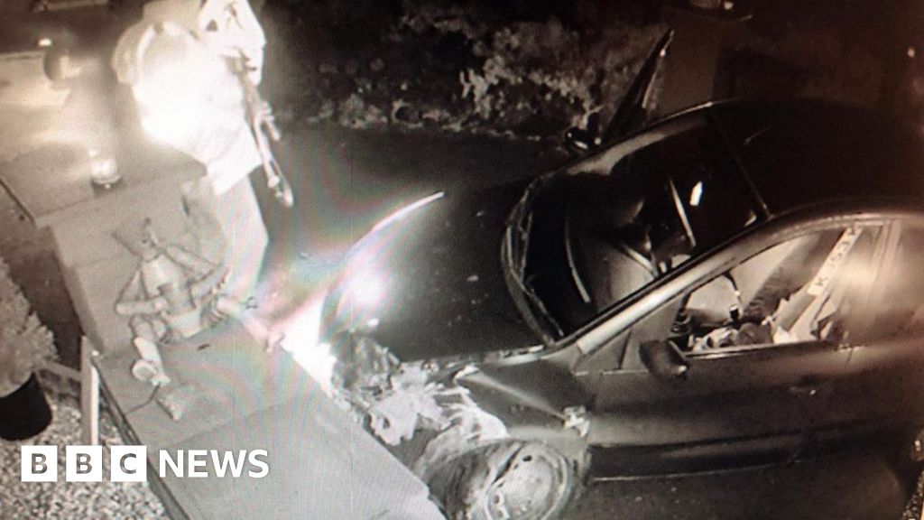 Devon couple's home suffers '19th crash in six years' - BBC News