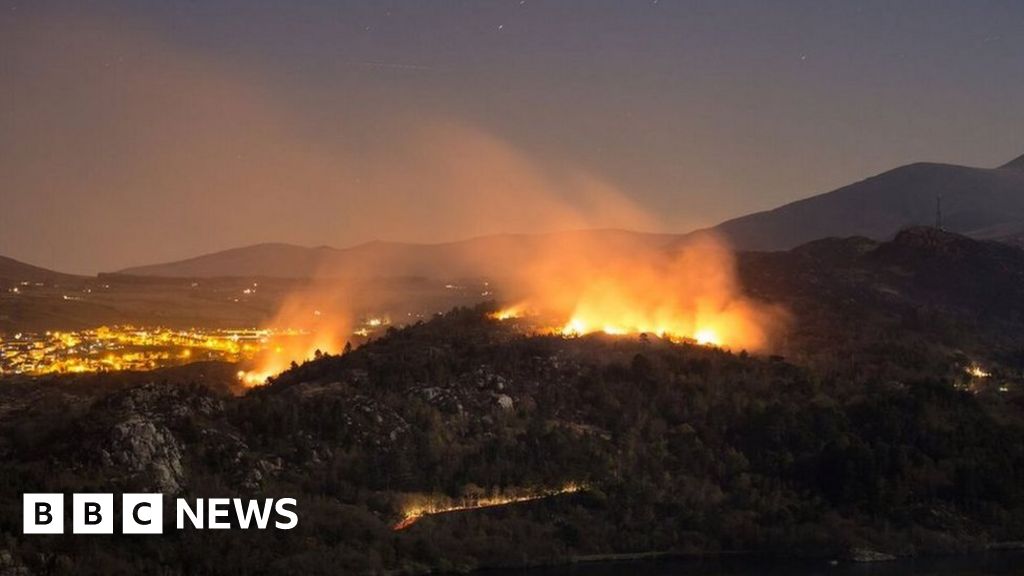 Hillside fire in Snowdonia destroys gorse and woods - BBC News