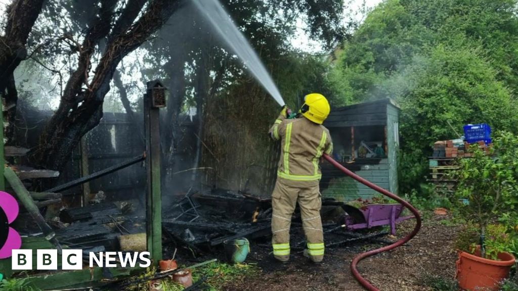 Basingstoke: Community garden set on fire in arson attack - BBC News