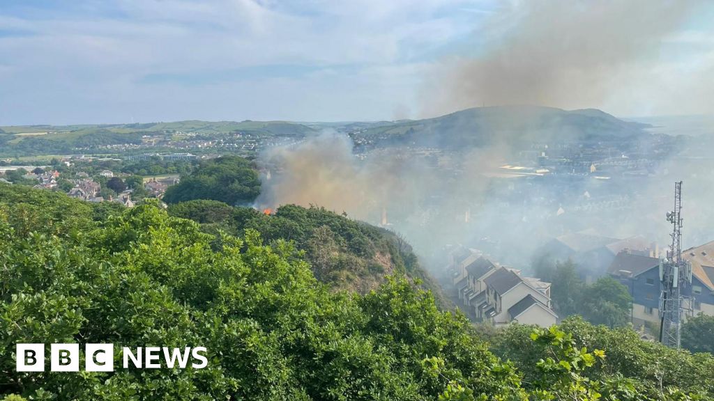 Aberystwyth: Flats evacuated after fire breaks out in woodland - BBC News