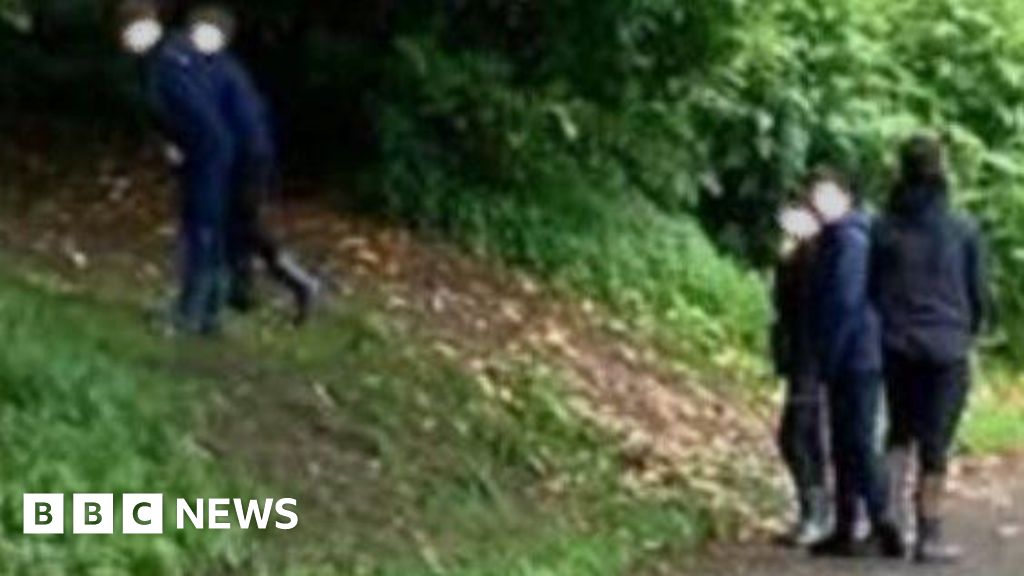 Rabbits attacked and killed in Sunderland Barnes Park