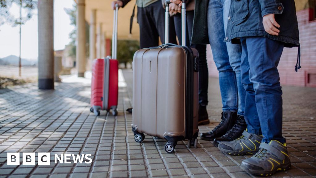 How much immigration is there in Northern Ireland? - BBC News