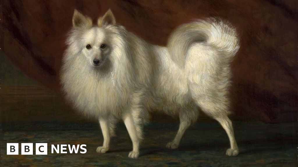 Woof! Norfolk exhibition celebrates dogs in art and history