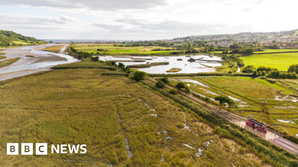 East Devon council gets funding to sort River Axe pollution